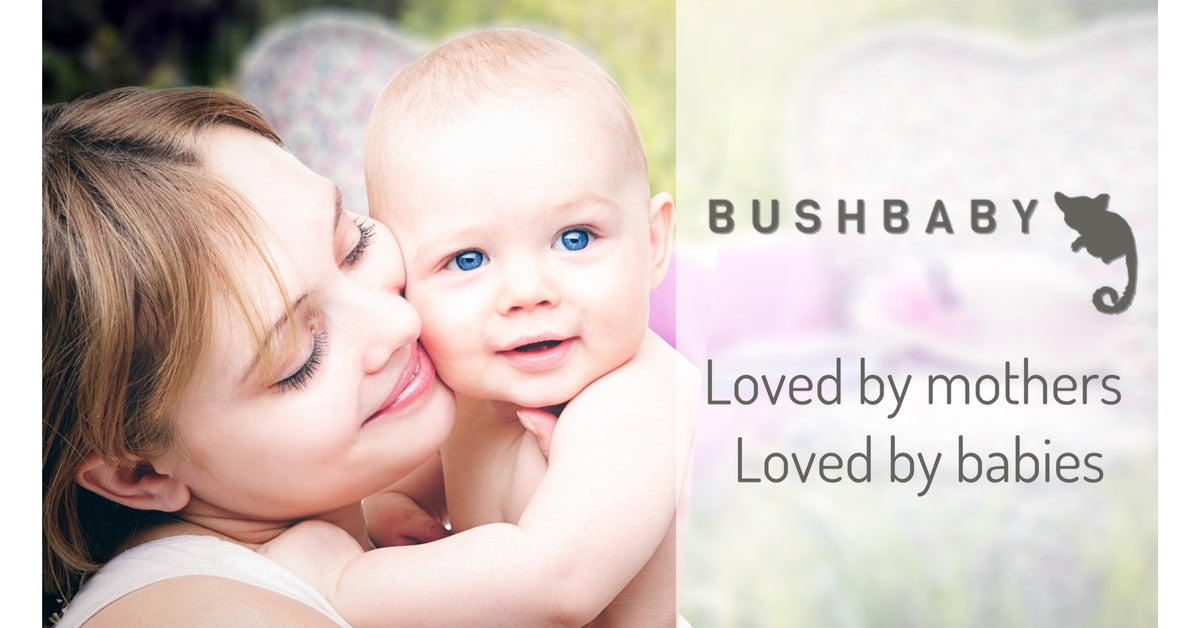BUSHBABY